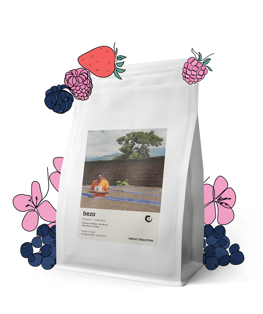 Etiopiske kaffebønner (BEZA) fra Yirgacheffe-regionen, ristet i Cph ...