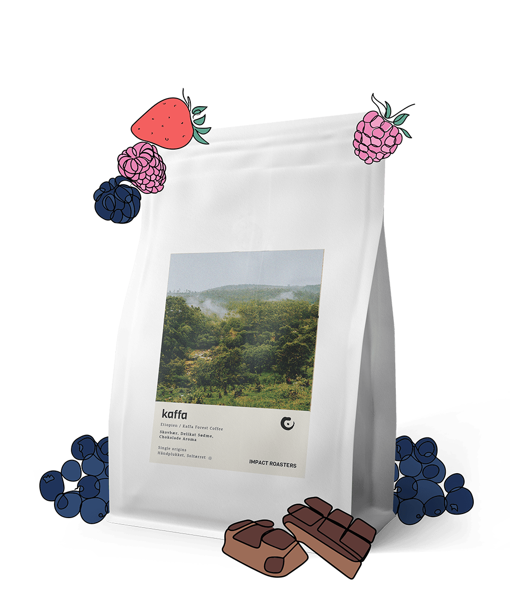 Ethiopian Coffee Beans (KAFFA) from Kaffa Forest, Roasted in Cph ...